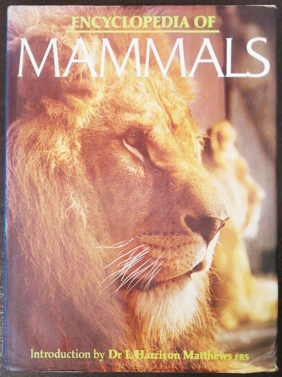 Encyclopedia of Mammals – Buy Books Online SA